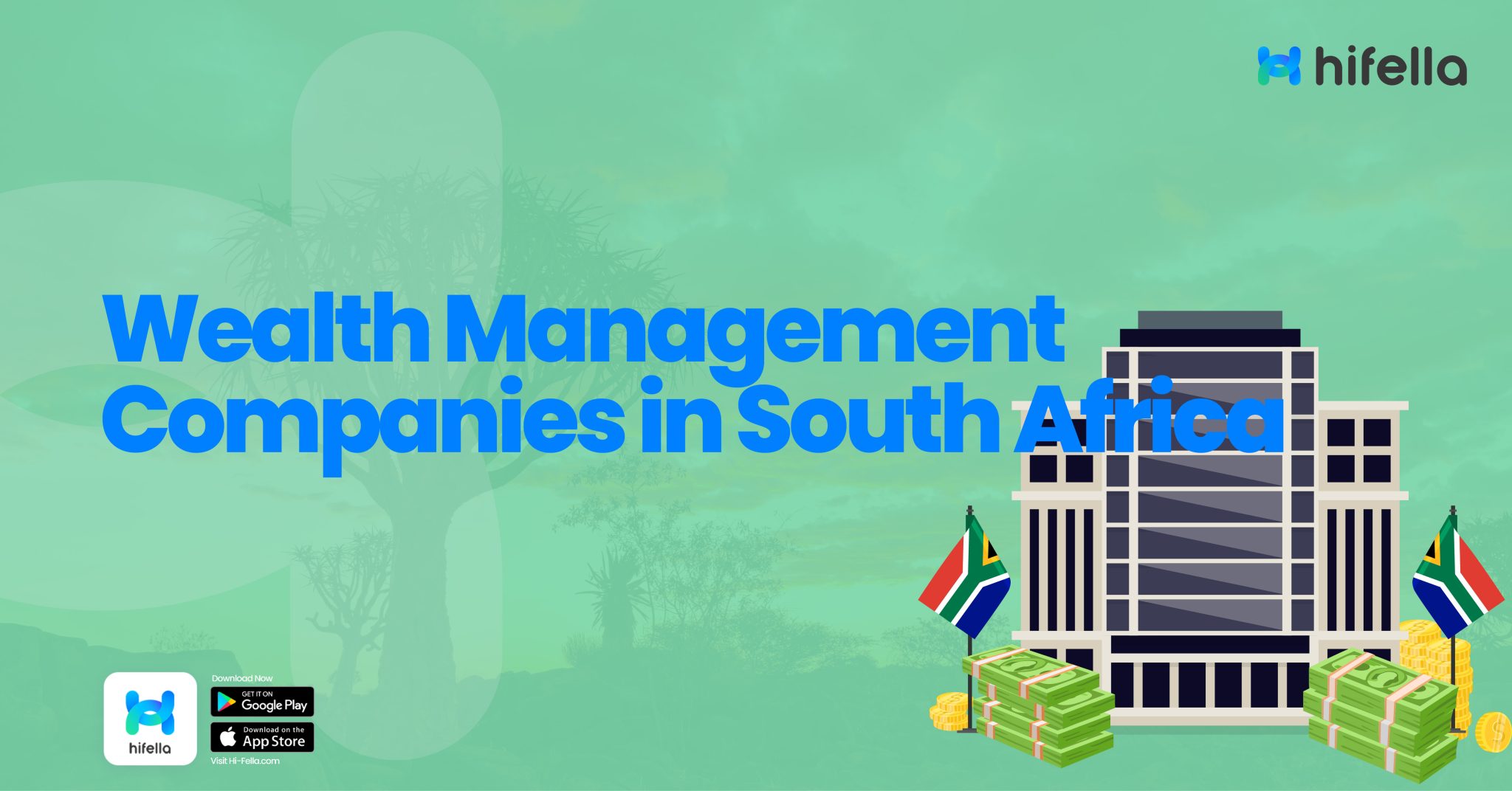 Top Wealth Management Companies in South Africa - Hi-Fella Insights